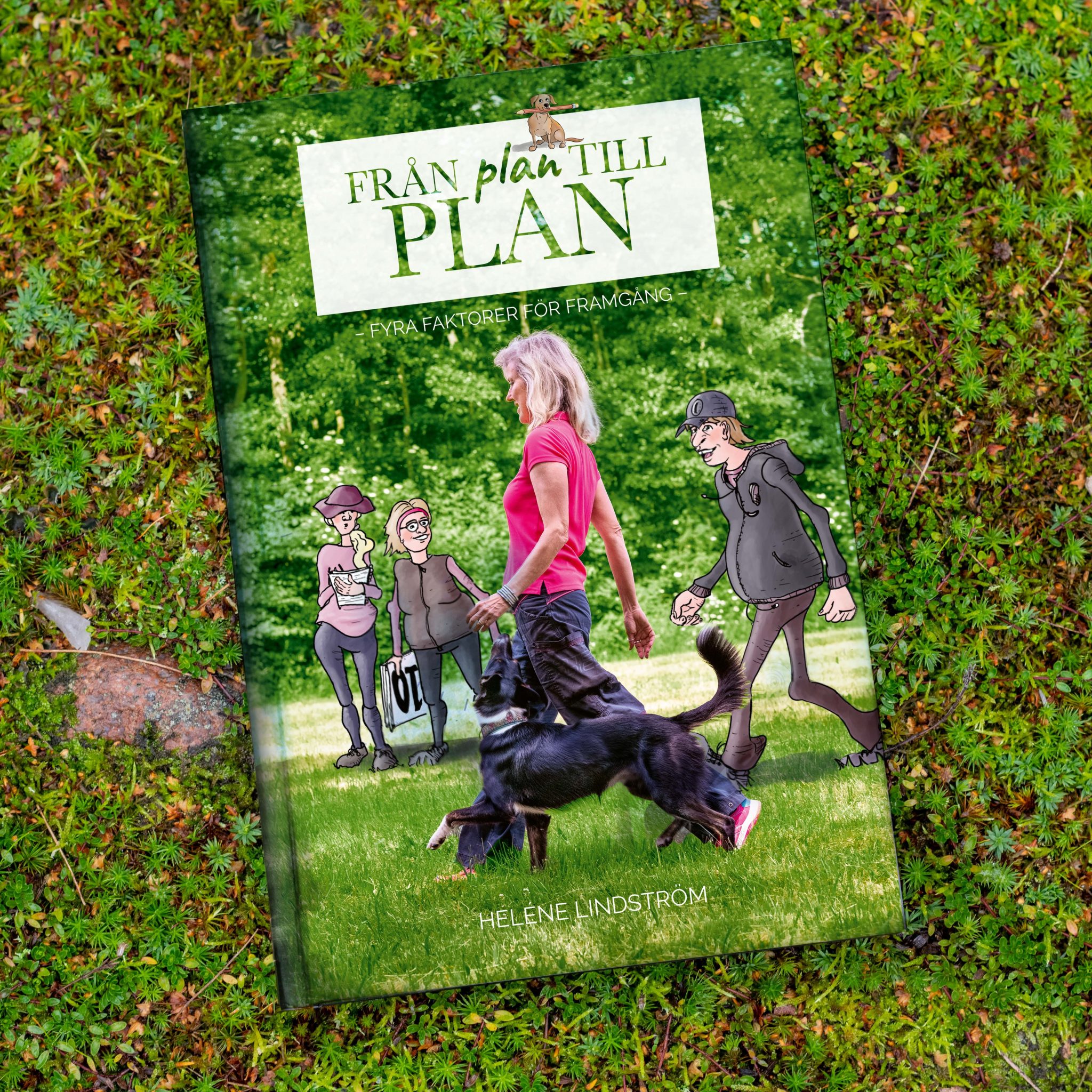 Från plan till plan - No Limit Obedience